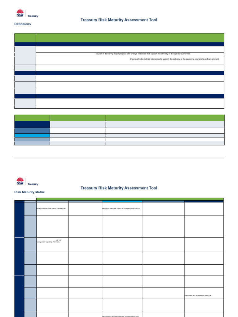 Treasury Risk Maturity Assessment Tool | PDF | Risk | Risk Management