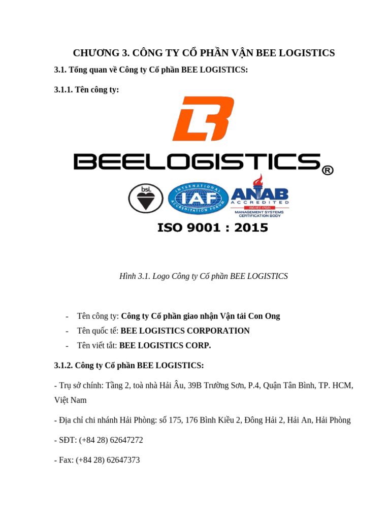 Chương 3. Công Ty Cổ Phần Vận Bee Logistics | PDF