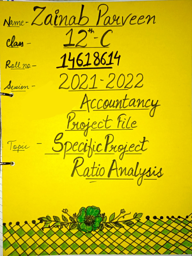 Accountancy Project 1 | PDF