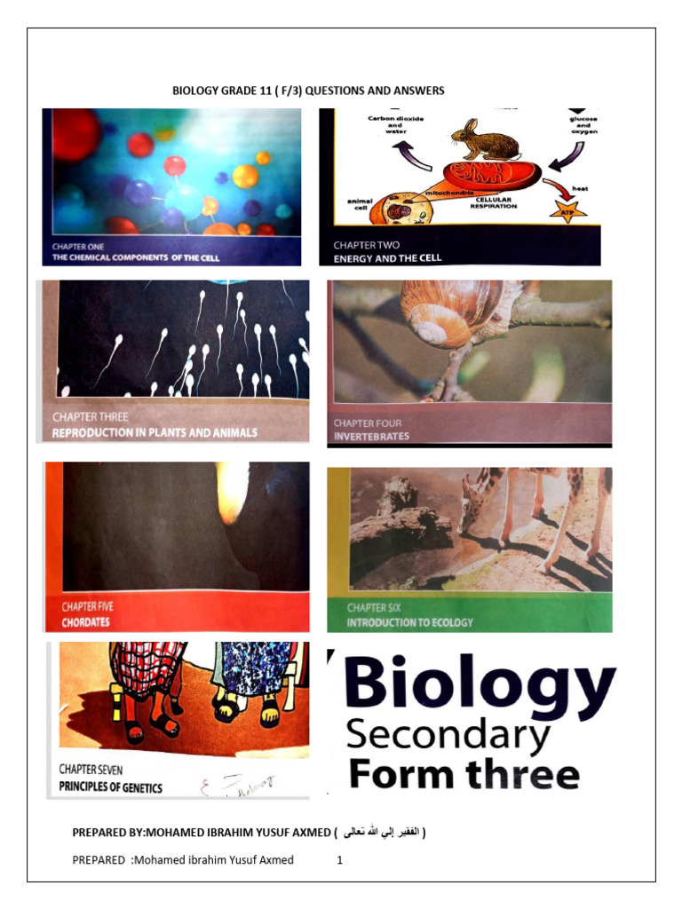 BIOLOGY FORM THREE Notes | PDF | Cellular Respiration | Carbohydrates