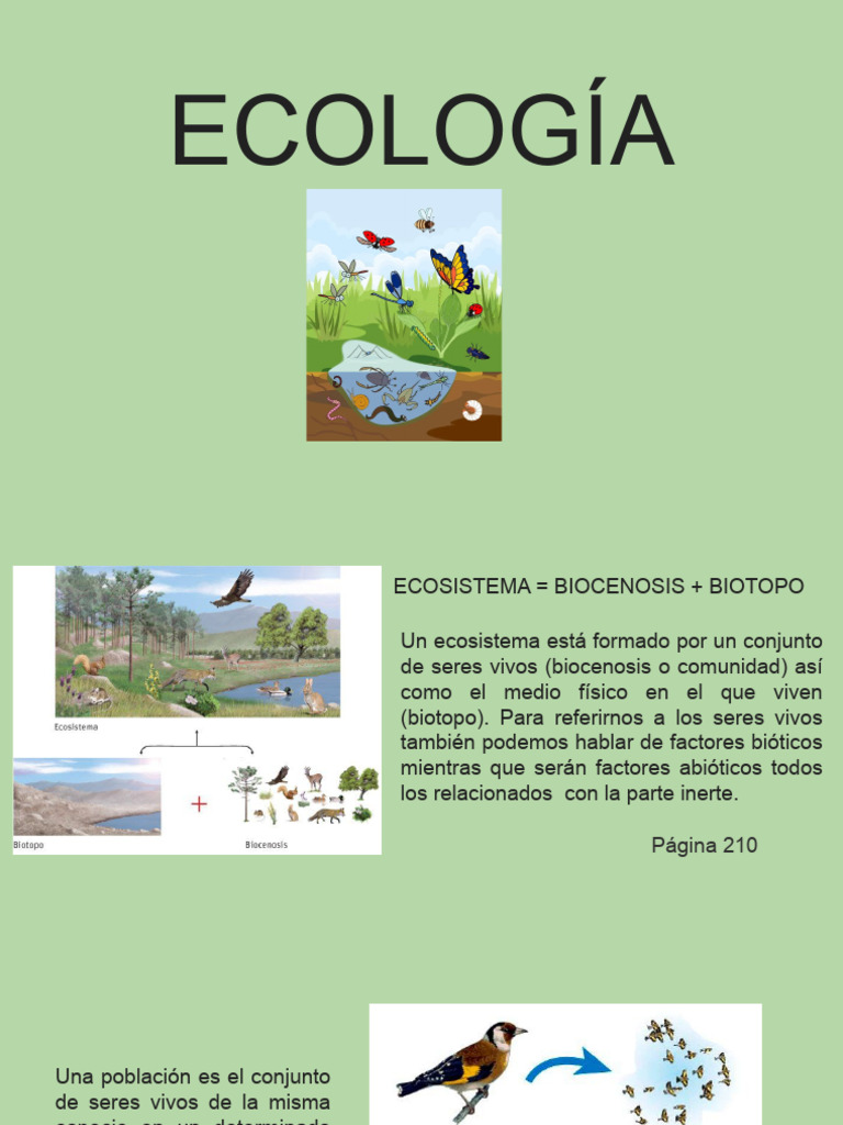 ECOLOGÍA | PDF | Red alimentaria | Ecosistema
