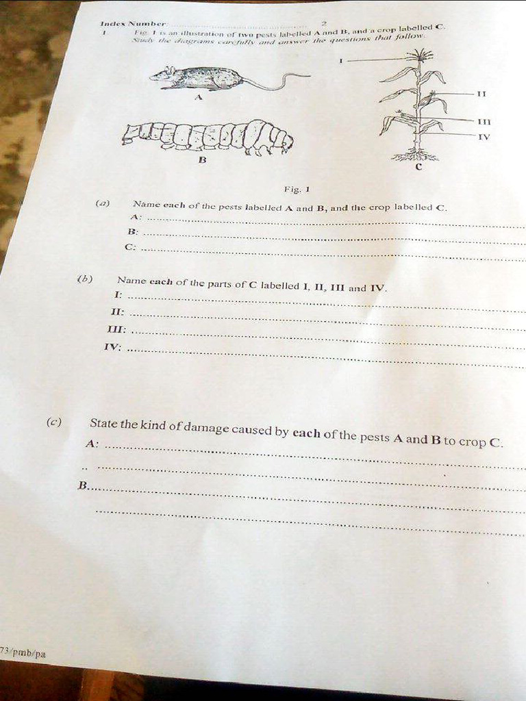 Int. Science (Practicals) - Novdec 2023 | PDF