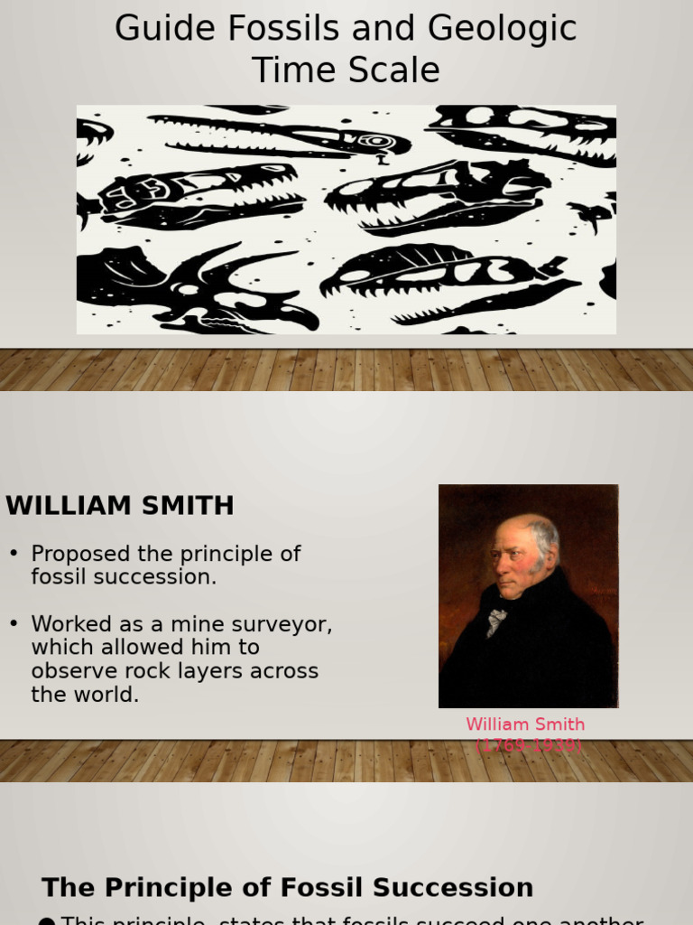 Guide Fossils and Geologic Time Scale | PDF