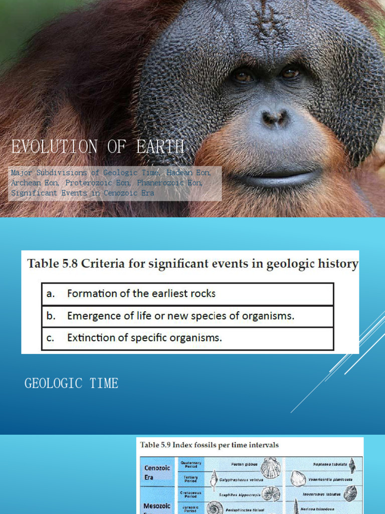 History of The Earth Geologic Time | PDF | Cretaceous | Earth Sciences