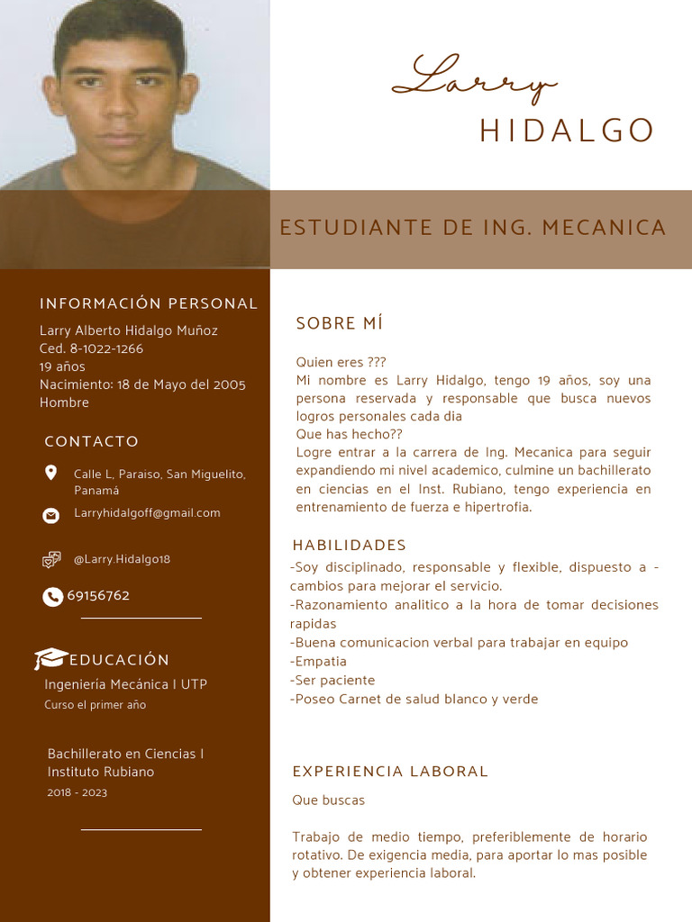 CV Larry Hidalgo | PDF