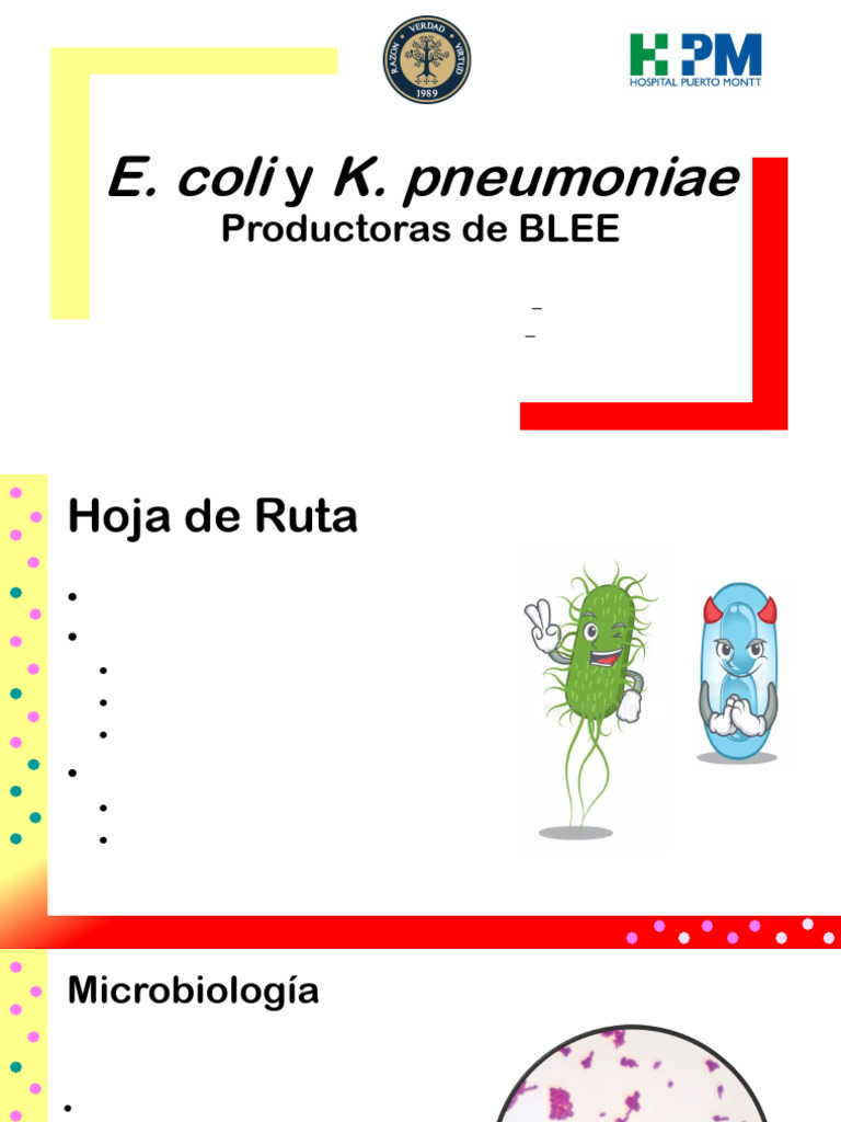E Coli y K Pneumoniae BLEE | PDF | Beta lactamasa | Inmunología