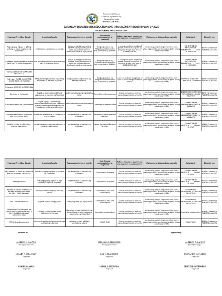BDRRM Plan-AIP - Edited2 | PDF