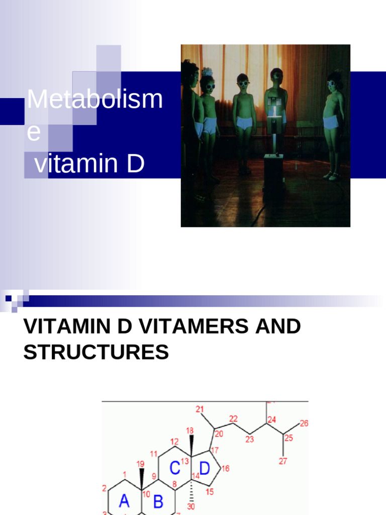 Metabolisme Vitamin D | PDF | Vitamin D