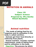 Magic School Bus Digestion Guide | PDF