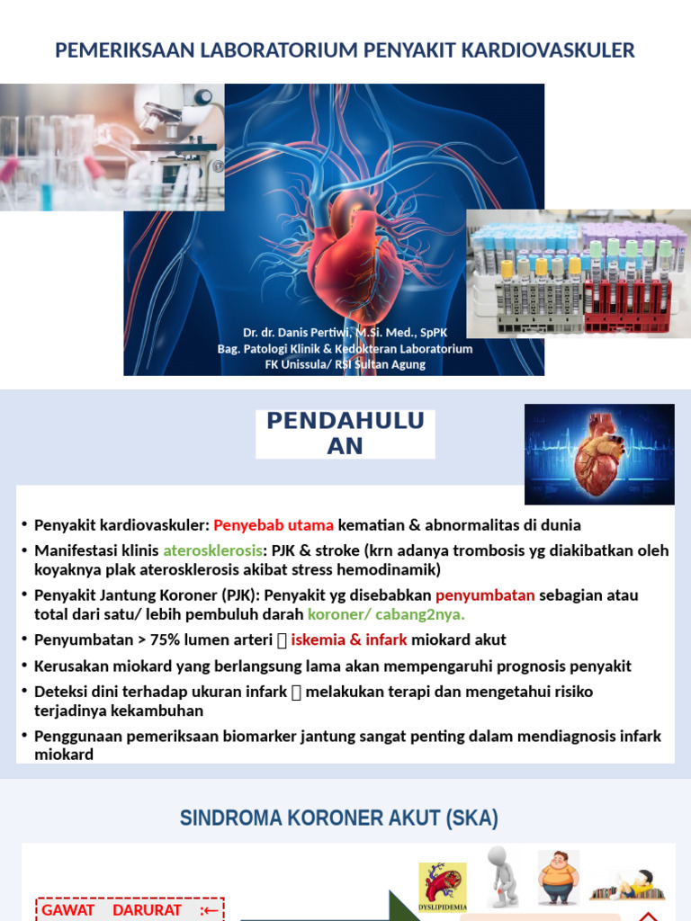 KULPAK SKA, Prof Lipid, INR DANIS 2024 | PDF