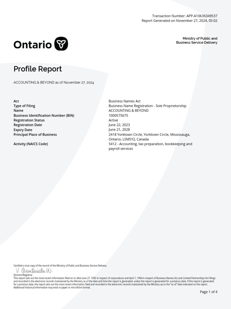 Profile Report EN | PDF | Business Economics | Business