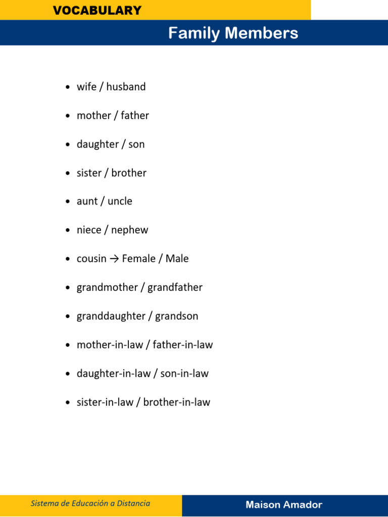 Family Vocabulary Basics | PDF