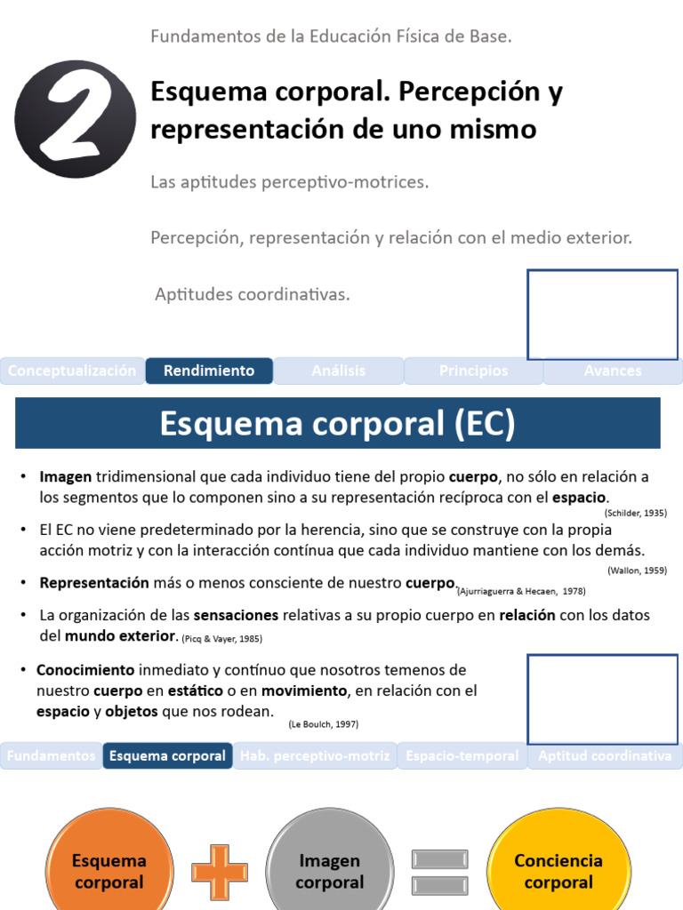 UD2.1 Esquema Corporal. Conocimiento Del Cuerpo y Actitud | PDF | Percepción | Neurociencia
