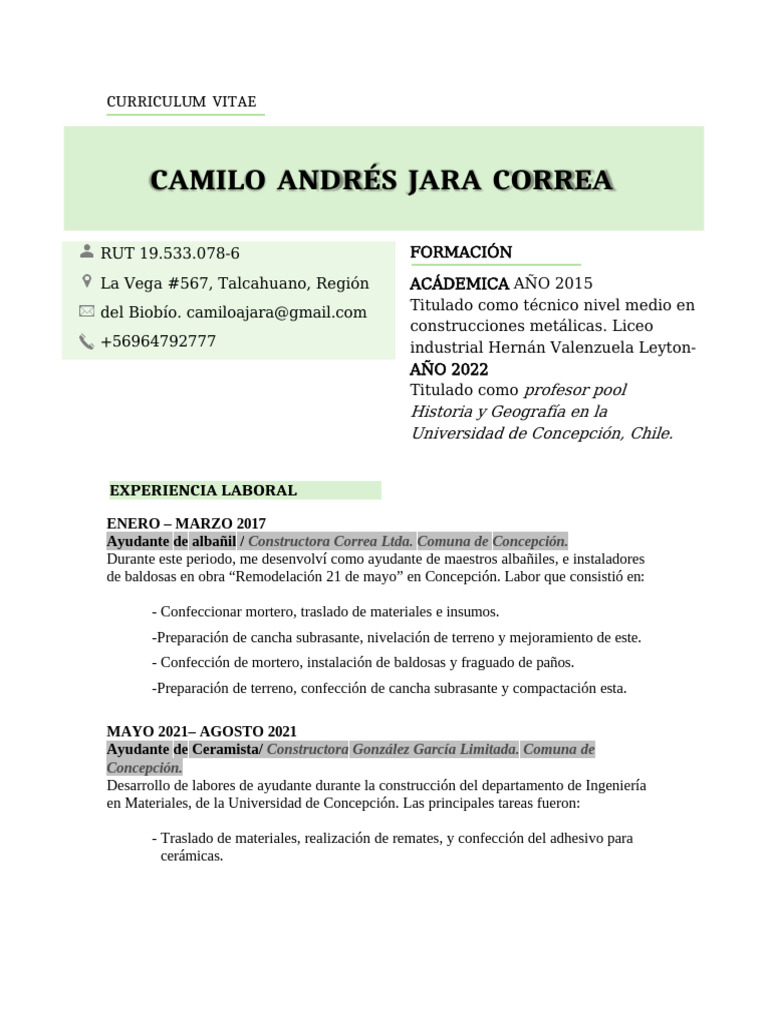 Curriculum Vitae Camilo Jara Correa | PDF