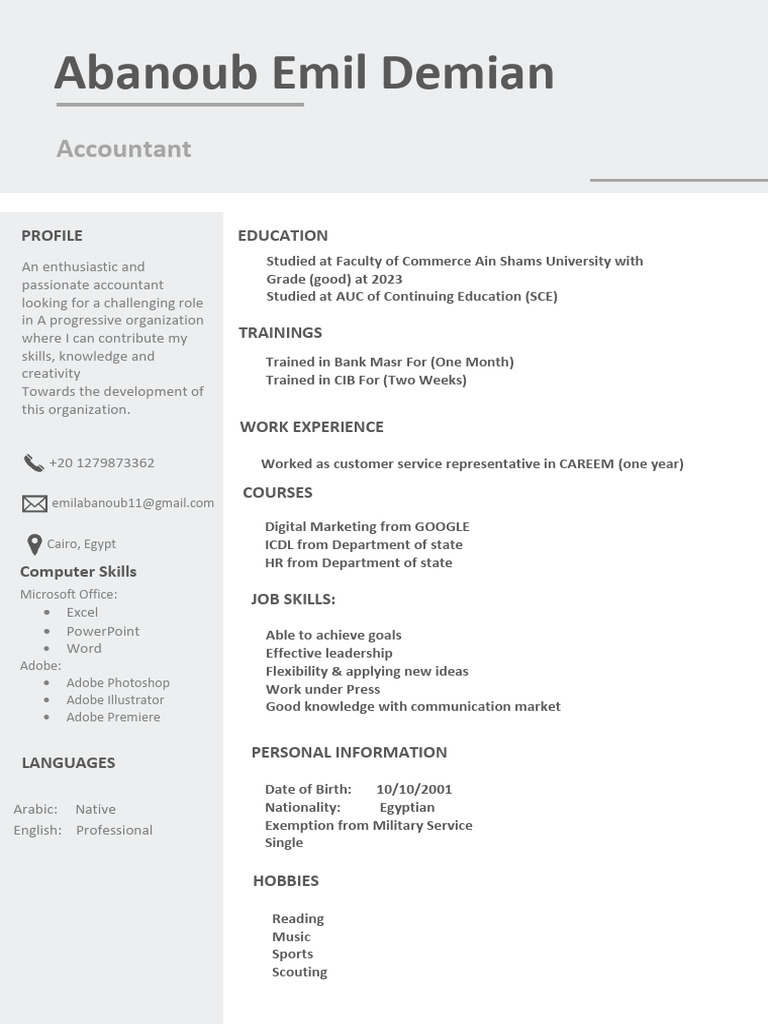 Abanoub Emil Demian: Accountant | PDF