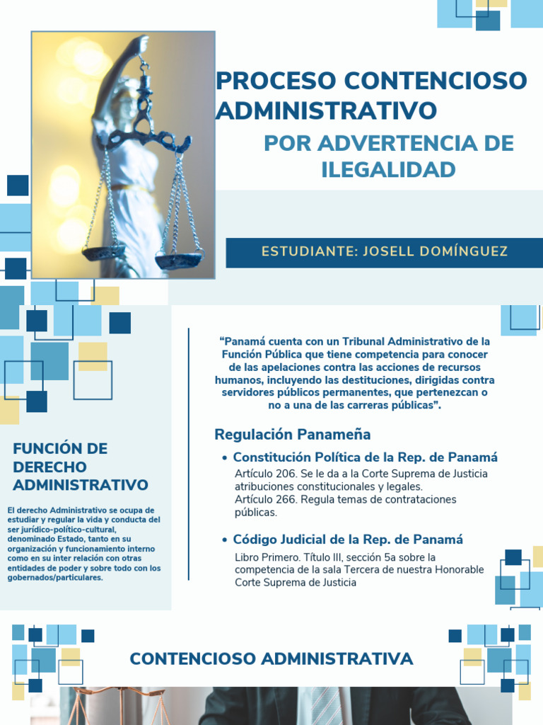 Trabajo Final - Advertencia de Ilegalidad | PDF | Ley administrativa ...