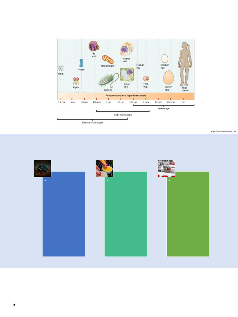Nanobiotech | PDF | Tissue Engineering | Nanotechnology