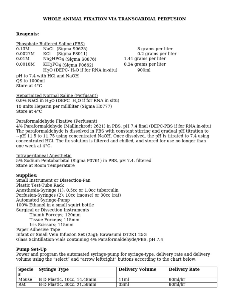 Whole Animal Fixation Via Transcardial Perfusion | PDF | Ventricle ...