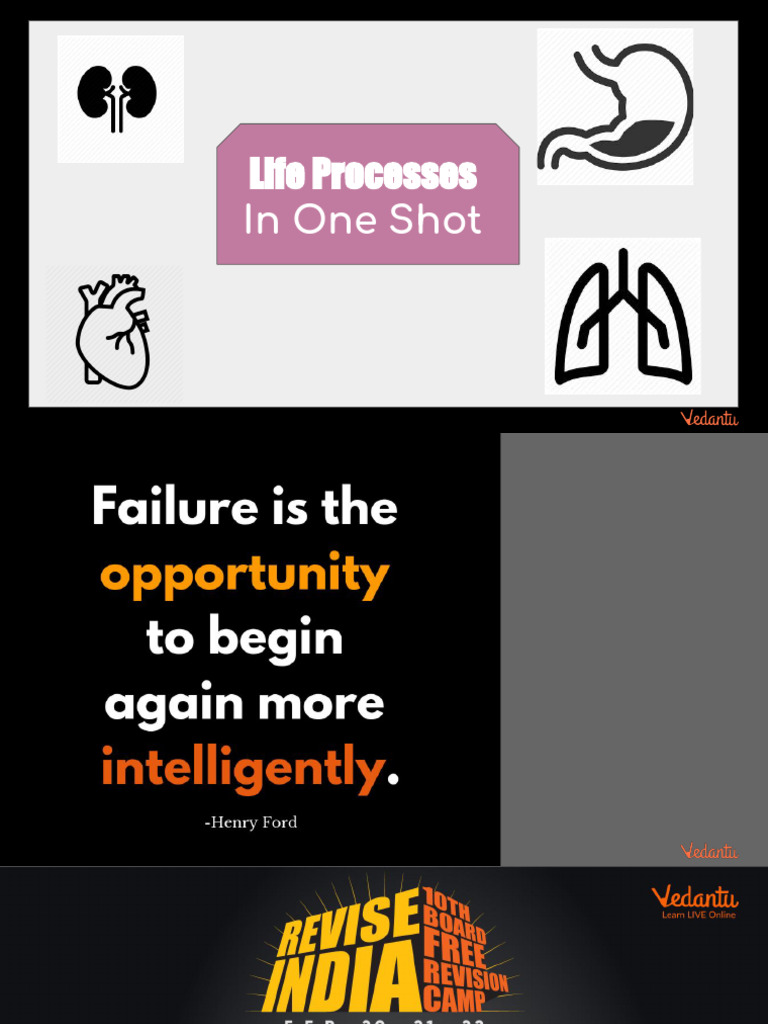 Life Processes: Nutrition, Respiration, and More | PDF | Kidney | Artery