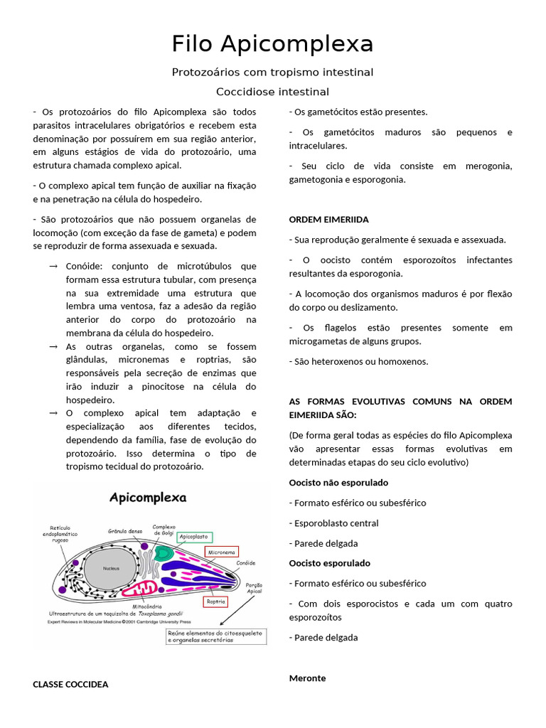 6 - Filo Apicomplexa Coccídeos Intestinais | PDF | Biologia | Processos ...