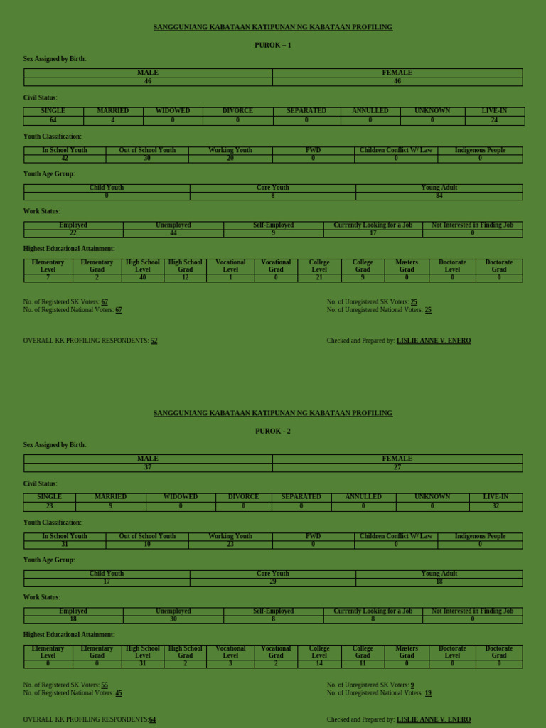 KK Profiling | PDF | Youth