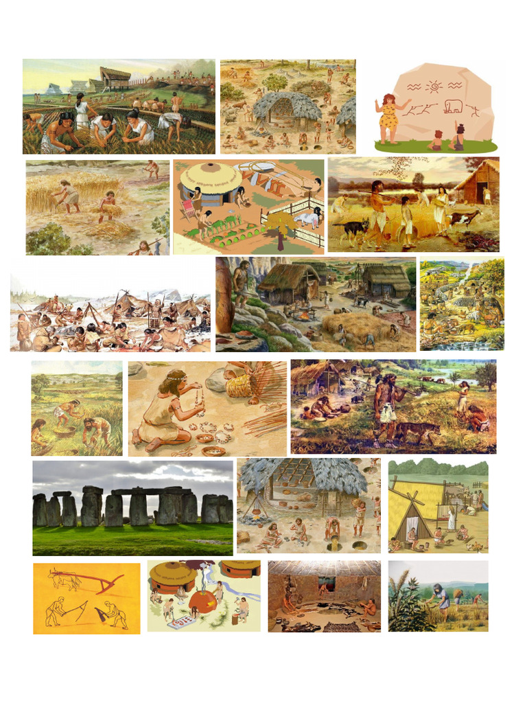 Collague Historia | PDF