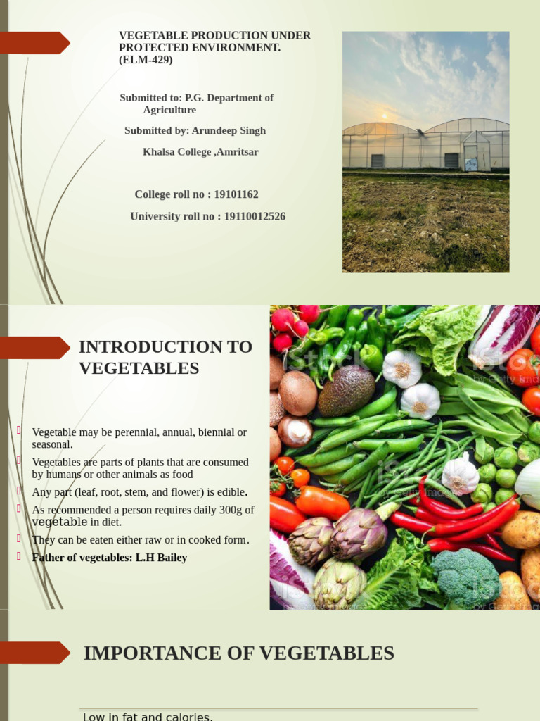 Protected Vegetable Cultivation Techniques | PDF | Vegetables | Mulch