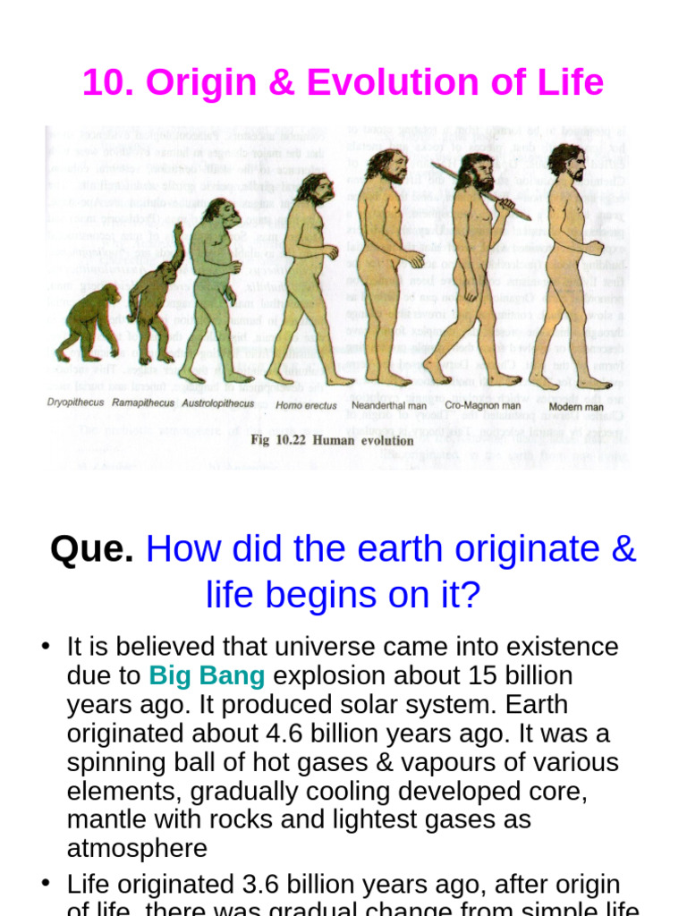 Origin and Evolution by Ashu Sir | PDF | Homo | Natural Selection