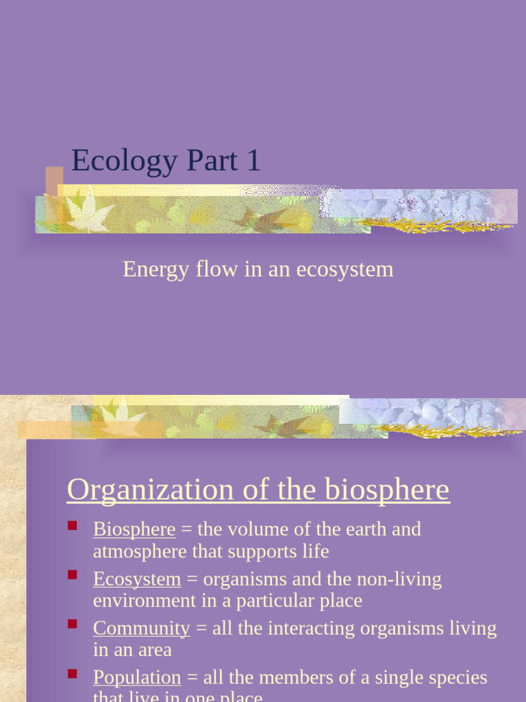 Ecology Part 1 Energy Flow And Levels Of Organization Pdf