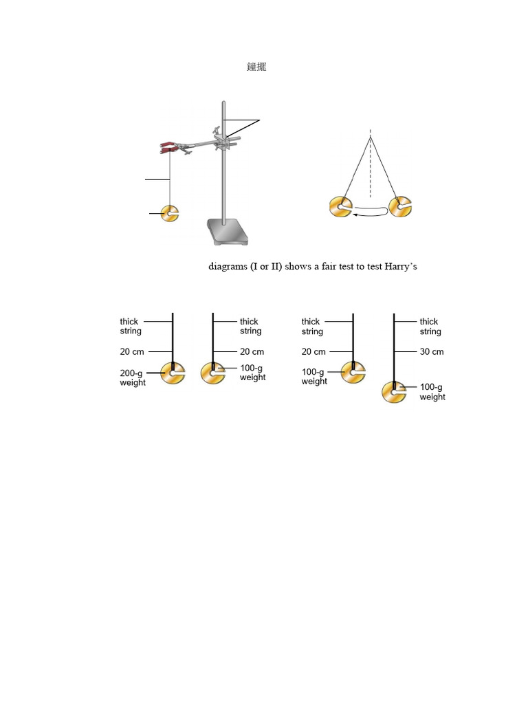 Fair Test Exercise | PDF