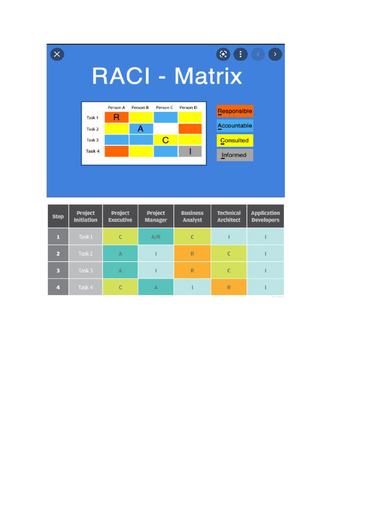 RACI | PDF