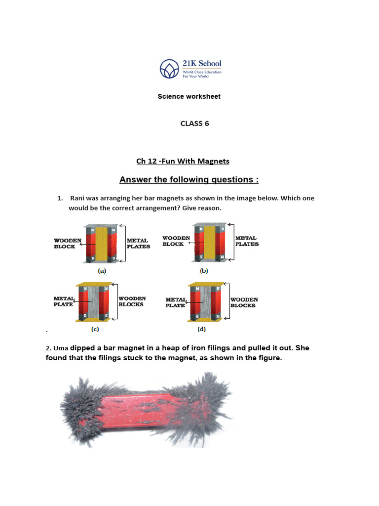 HW Grade 6 Fun With Magnets | PDF