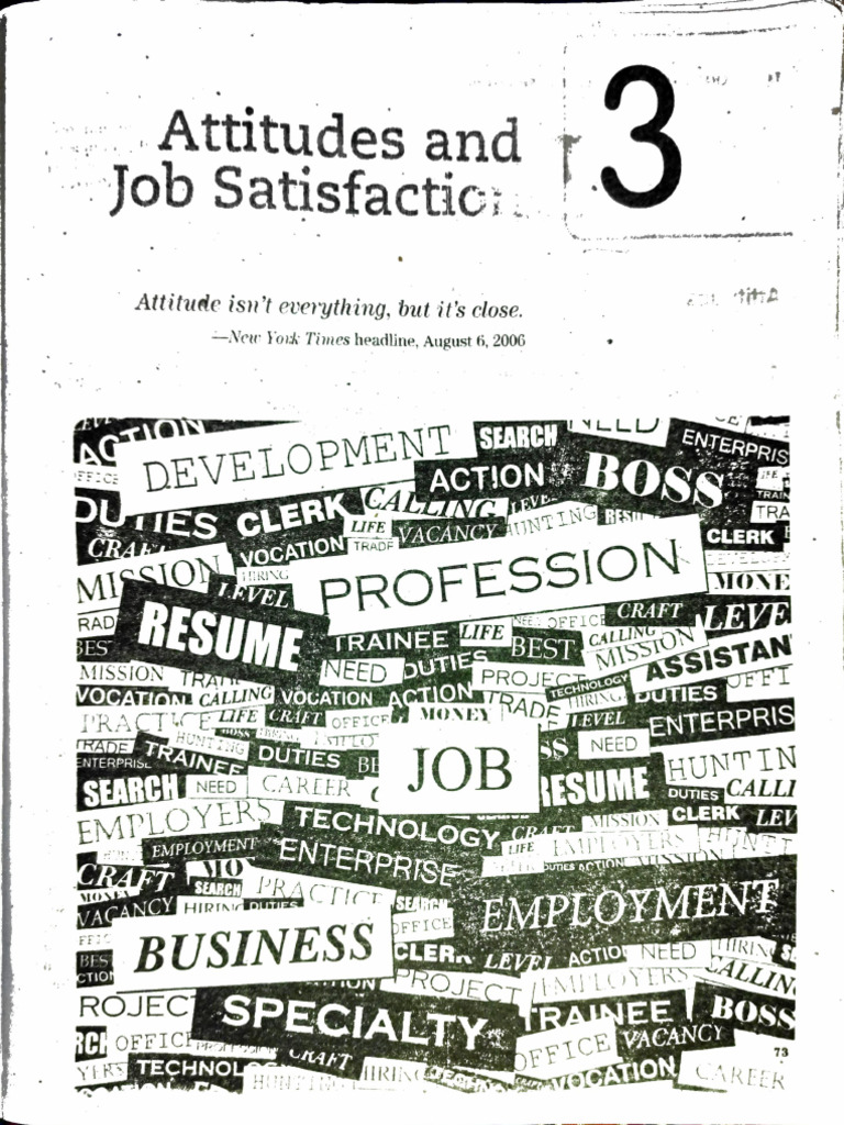 Chapter3 Attitudes Job Satisfaction | PDF