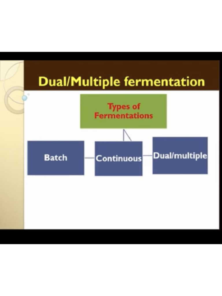 Dual or Multiple Fermentation | PDF