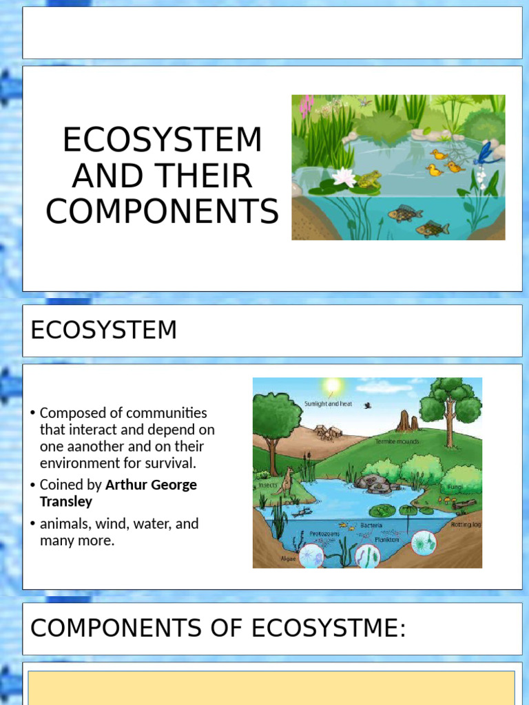 (Done) Ecosystem and Their Components | PDF | Ecosystem | Nature