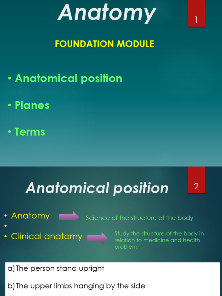 General Anantomy | PDF | Anatomical Terms Of Motion | Anatomical Terms ...