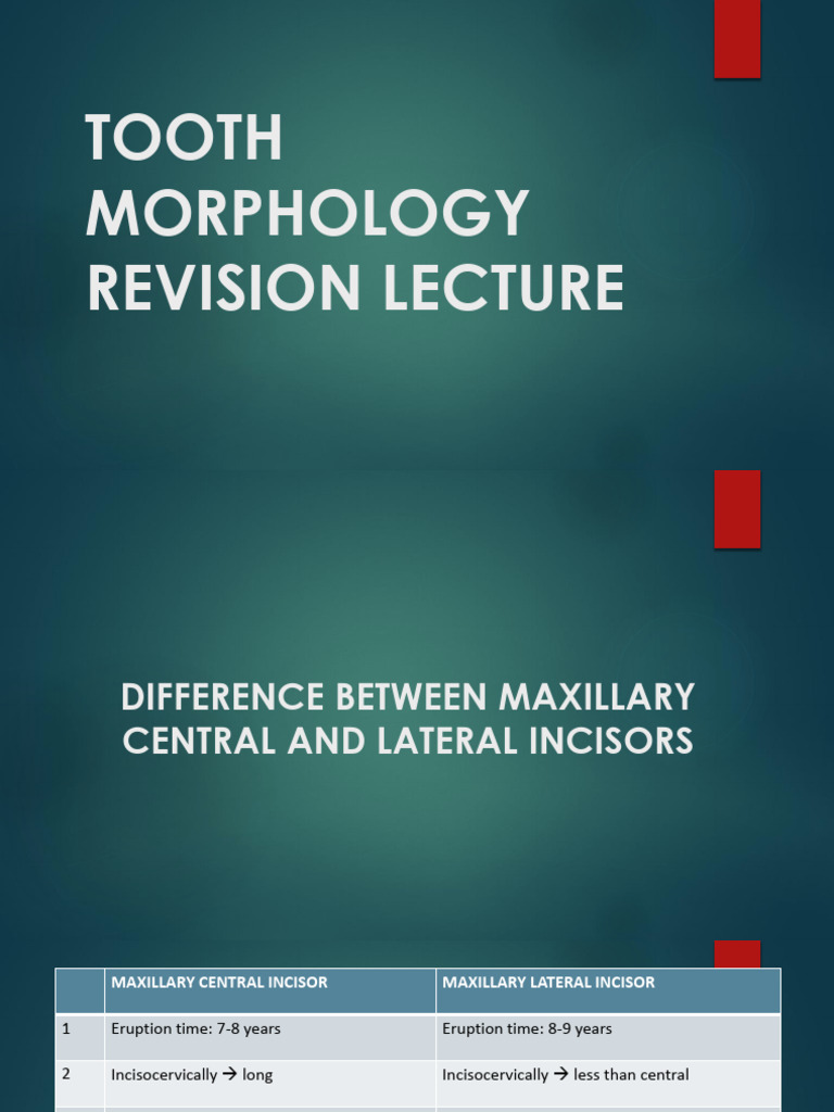 Tooth Morpho Differences PDF | PDF | Dental Anatomy | Dentistry Branches