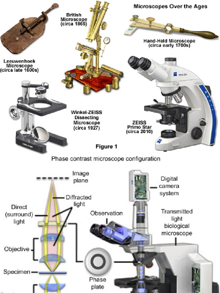 Microscope Project | PDF