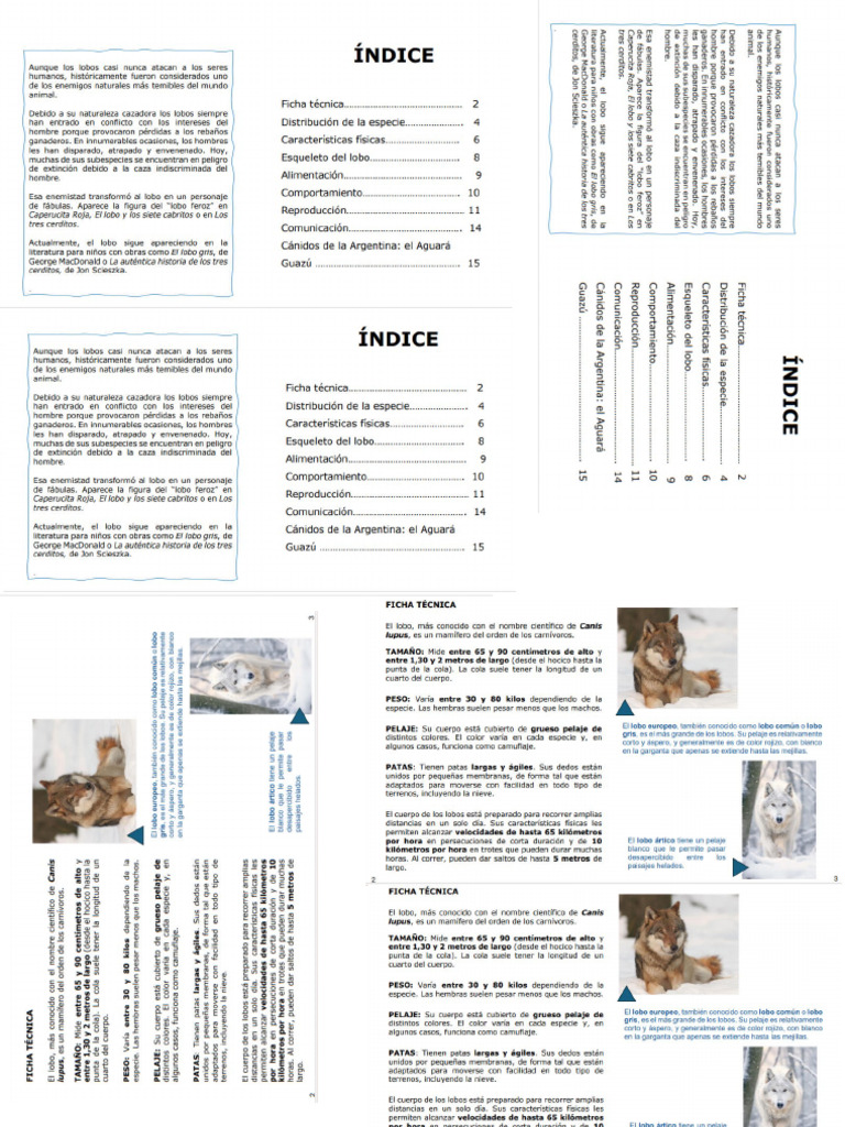 Lobos Libro | PDF