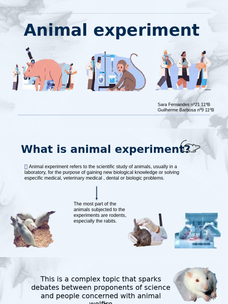 Animal Experiment 2023 | PDF | Animal Testing | Experiment