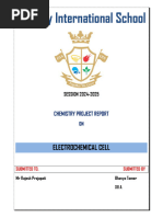 Chemistry Project On Electrochemical Cell | PDF | Redox | Electrochemistry