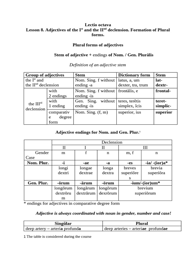 Formation of Plural Forms. (Adj of The I and II Decl) . | PDF | Grammatical Number | Adjective