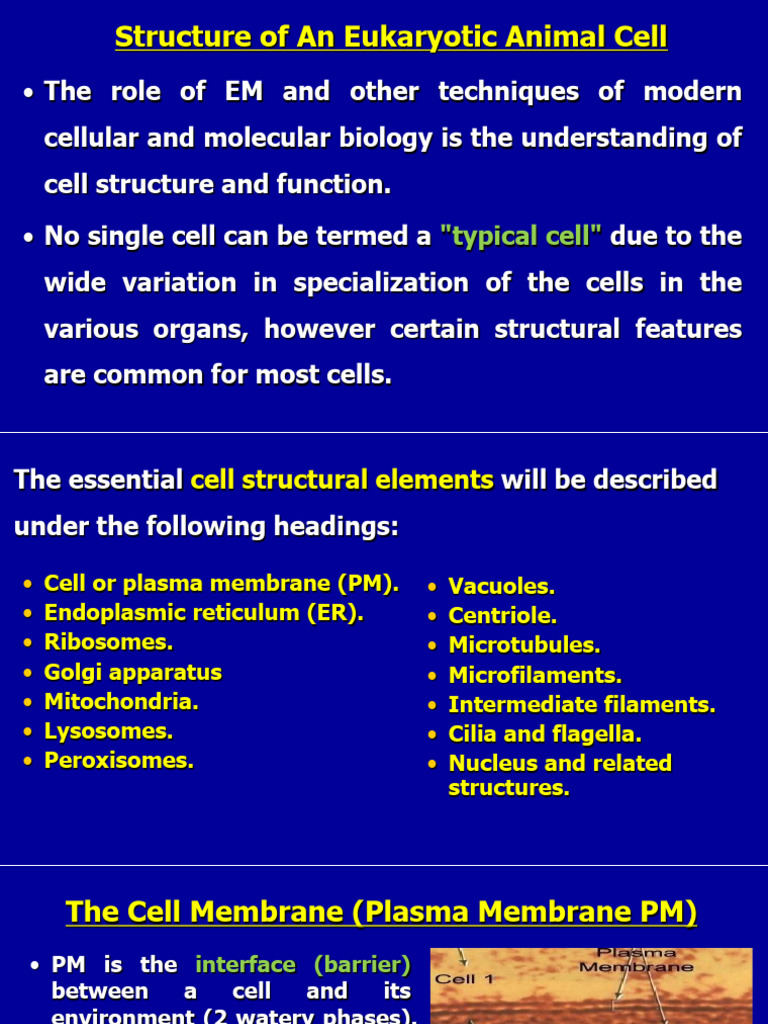 Cell Membrane | PDF | Cell Membrane | Phospholipid