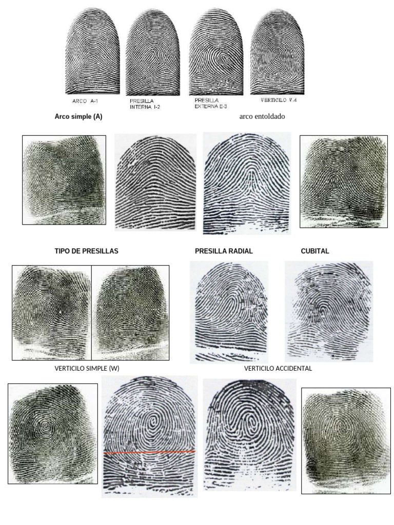 Arco Simple | PDF