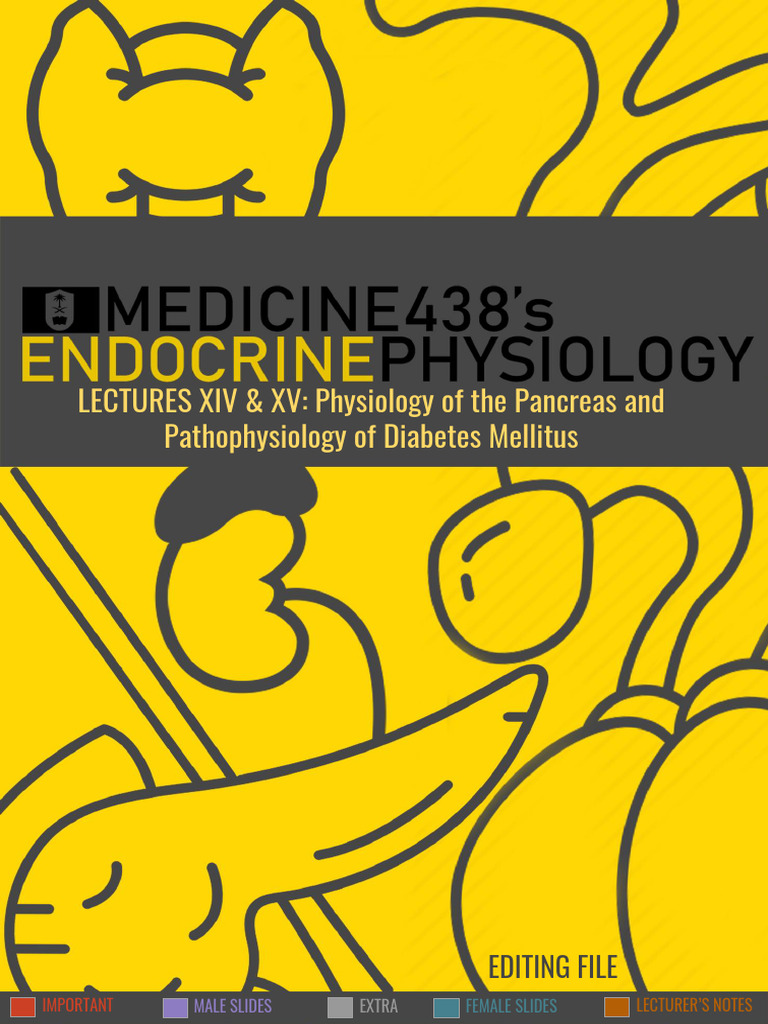 14th - 15th Lectures - Physiology of The Pancreas and Pathophysiology ...