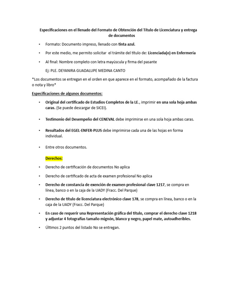 Especificaciones Del Llenado Del Formato y Documentos | PDF