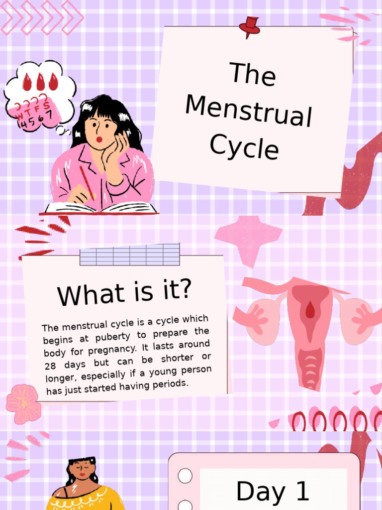 The Menstrual Cycle Presentation in A Red Pink Illustrative Style | PDF ...