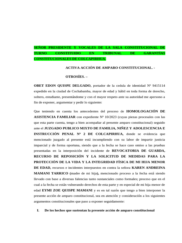 Accion de Amparo Constitucional Oved Quispe | PDF | Ley procesal | Caso ...