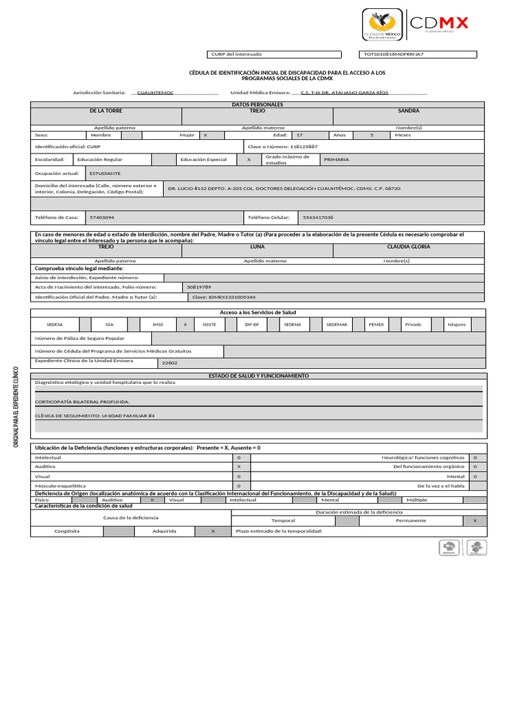 FORMATO FINAL DE CEDULA PARA EXPEDIENTE Sandra | PDF | Discapacidad intelectual