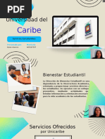 Servicios Que Brinda Unicaribe | PDF